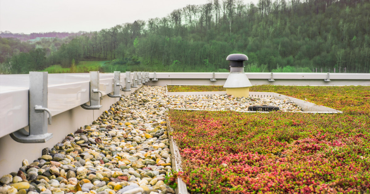 Flachdach | DTG Cordes & Graefe KG